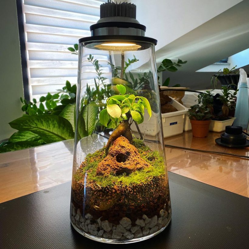 Cómo hacer un terrario cerrado y autosuficiente - Página 13 de 65 ...